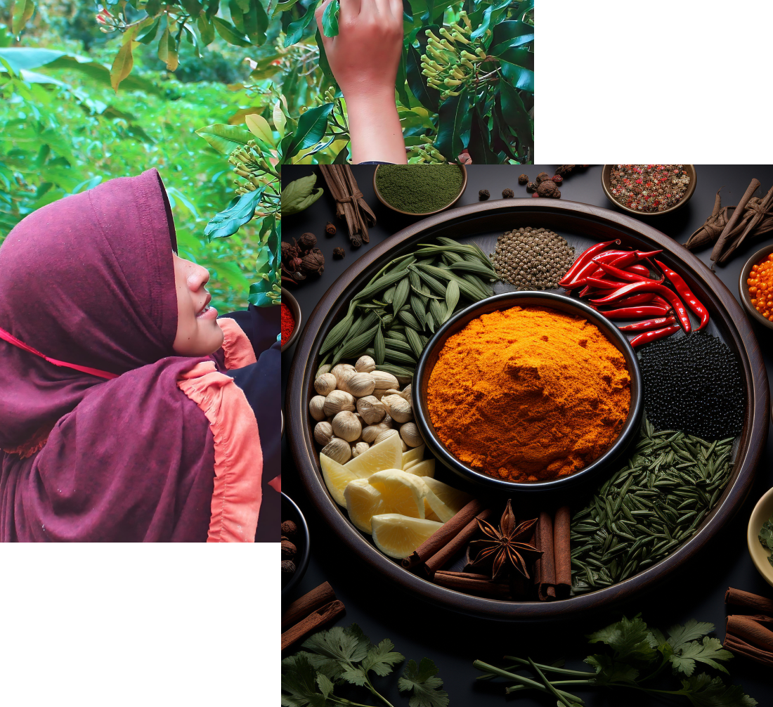 Minar Spices – Minar Spices